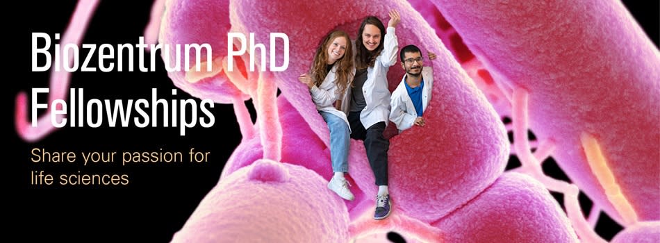 FindAPhD : Biozentrum PhD Fellowships in life sciences Summer Call 2025 ...