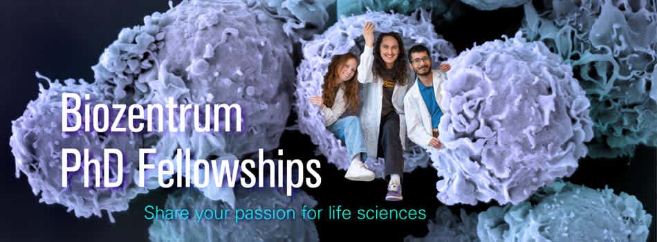 FindAPhD : Biozentrum PhD Fellowships in life sciences Winter Call 2025 ...